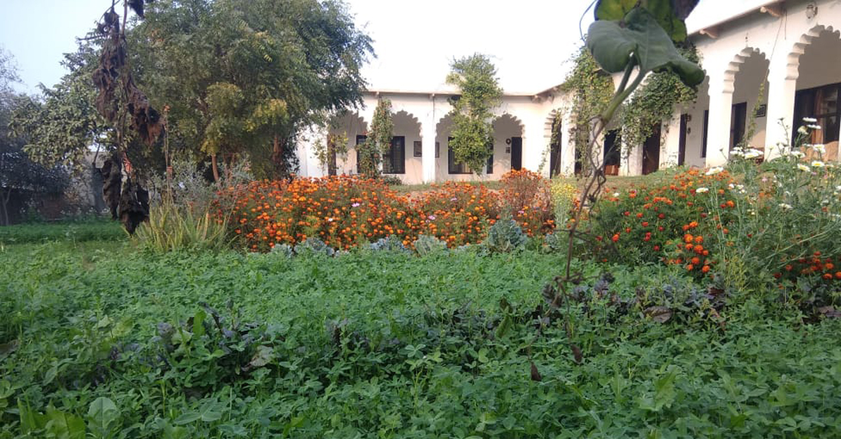 The charm of the Farm, Bharatpur - ecoplore